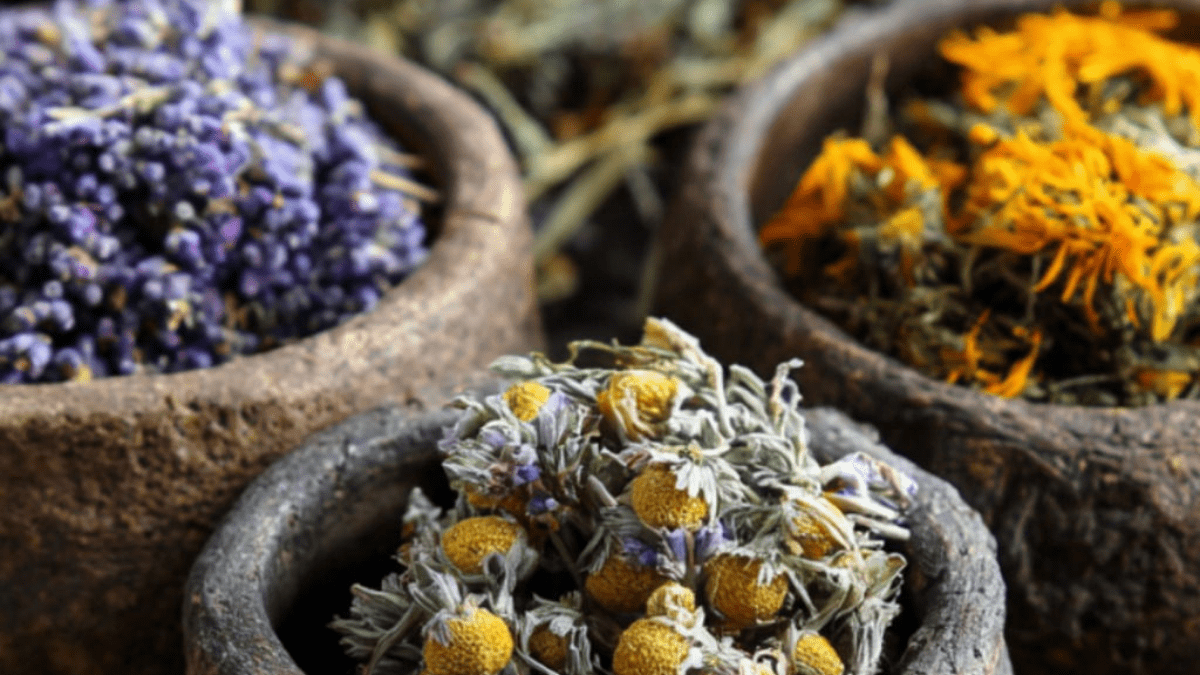 Top 5 Daily Herbs for Stress & Nervous System Balance - Hygea Herbs